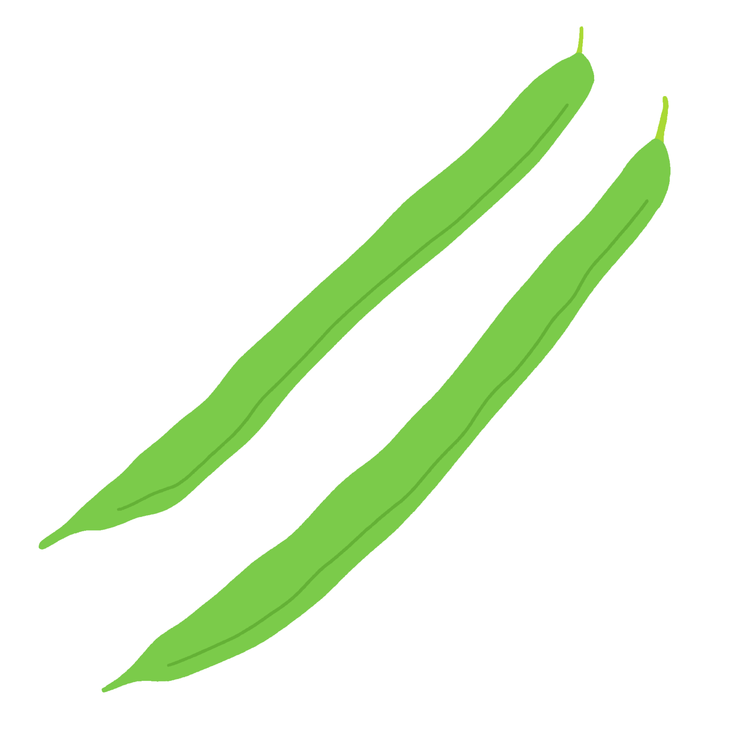 Clip art of string beans - Free Clip Arts “Tegakira“